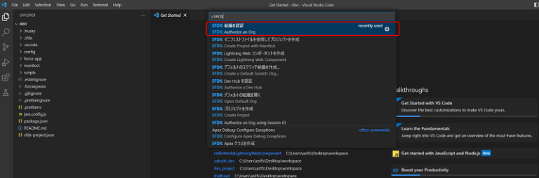【Salesforce】VS Codeインストールからメタデータ取得までを解説【初心者必見】 | Abo's