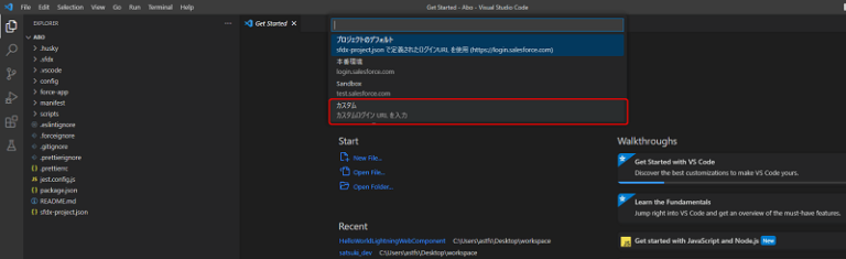 【Salesforce】VS Codeインストールからメタデータ取得までを解説【初心者必見】 | Abo's